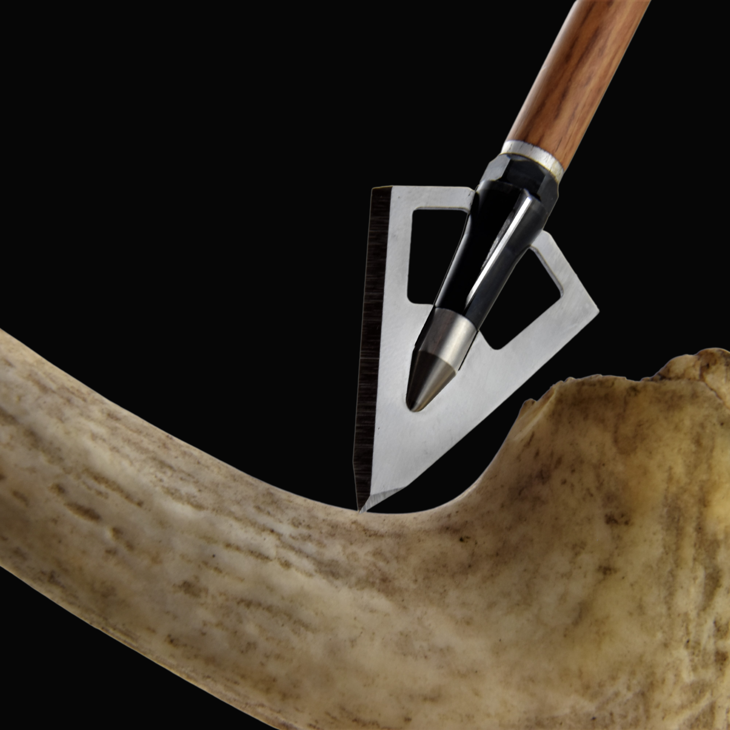 200 Grain Broadhead - Sharpshooter 200 | Wasp Archery