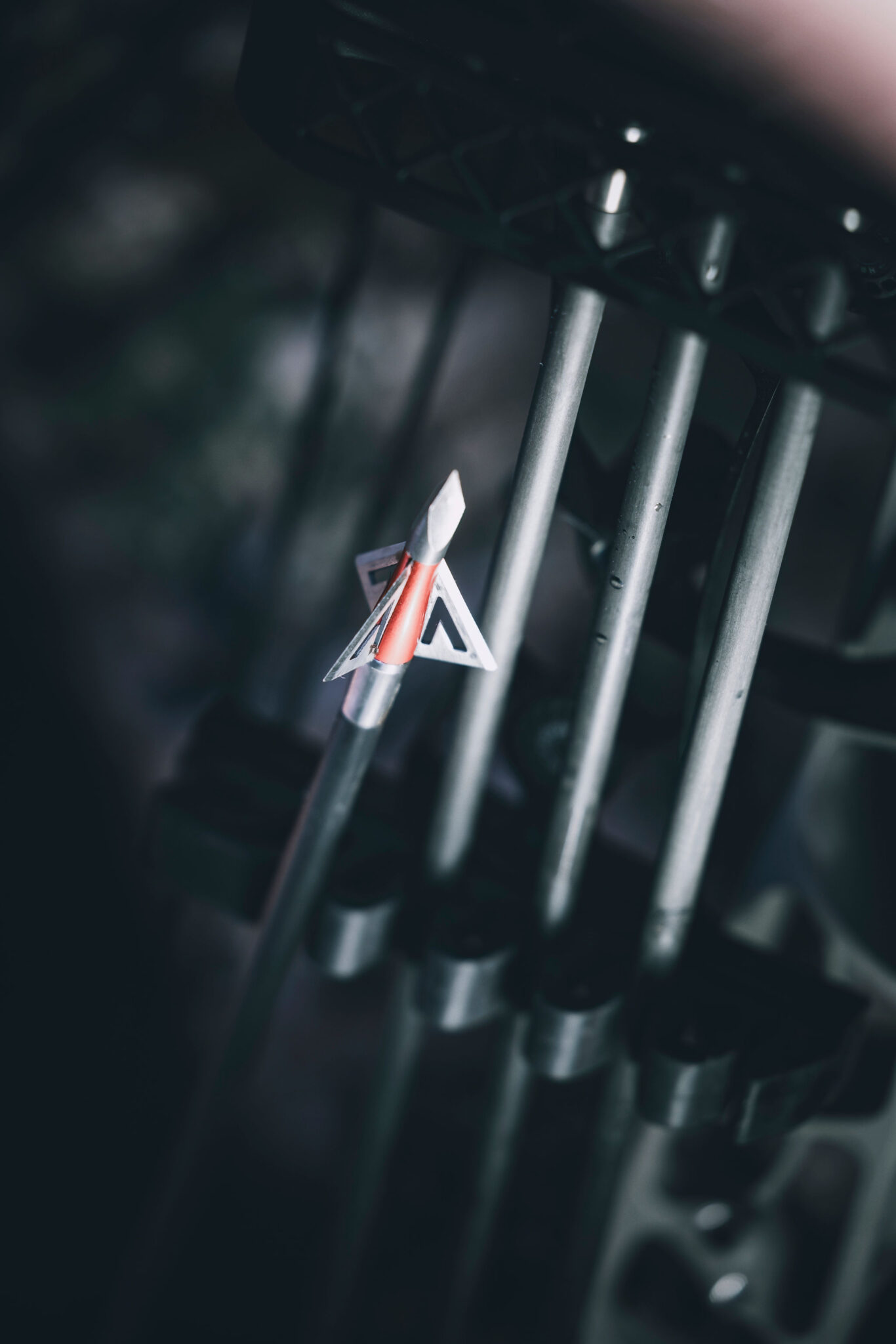 How to Practice with Broadheads, Safely | Wasp Archery