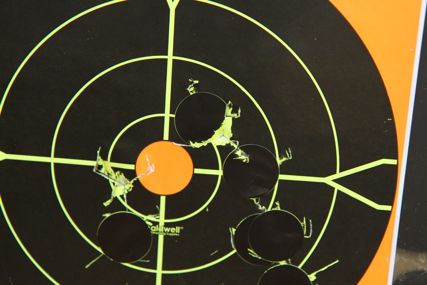 How to Practice with Broadheads, Safely | Wasp Archery