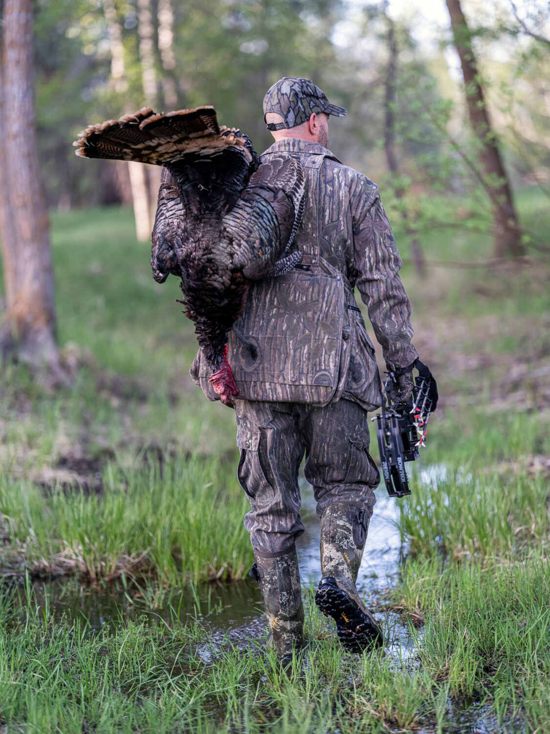 The Best Shot Placement For Bowhunting Turkeys | Wasp Archery