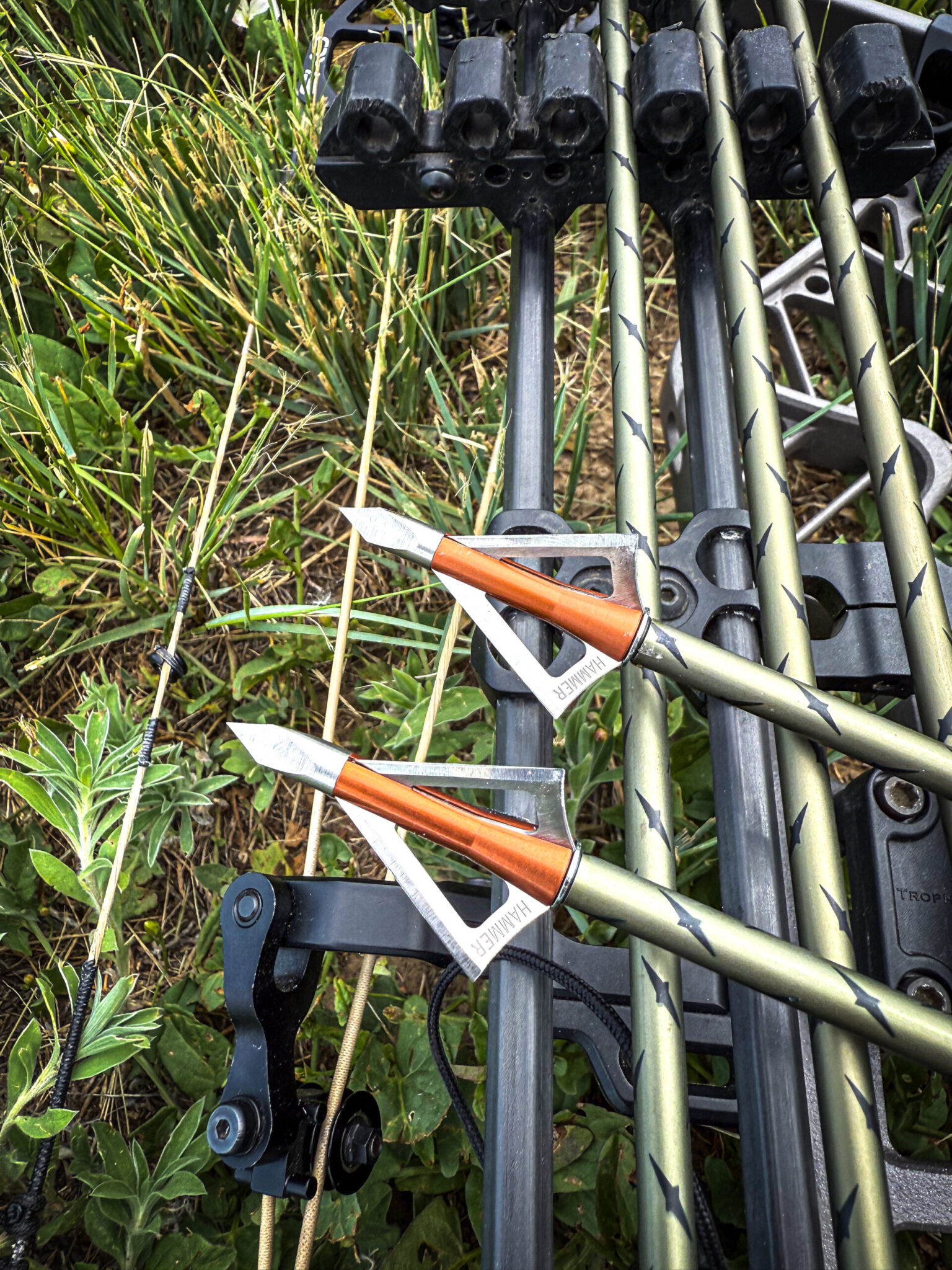 Wasp Hammer 100 gr Broadhead – Cam-Loc Orange Retro Edition